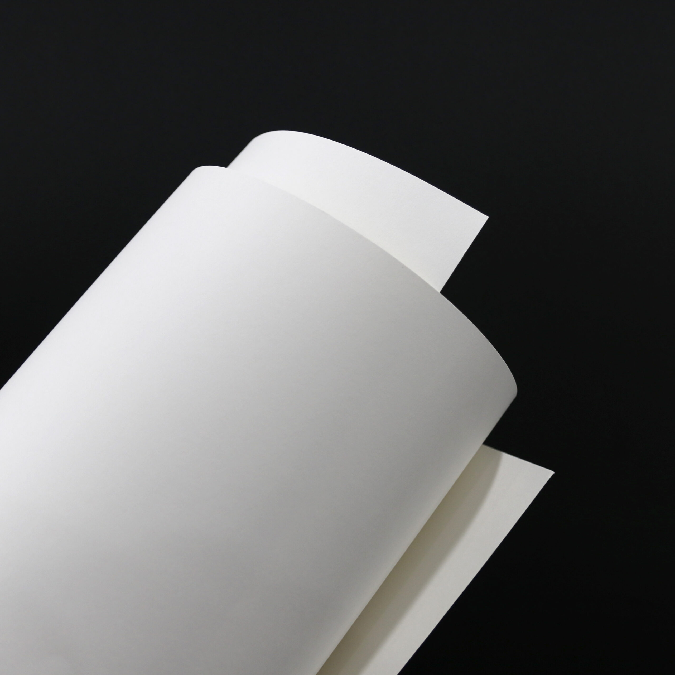 ECOLINE BOARD - Fine paper for packaging, hang tags | Lan Vi paper